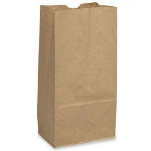12LB PAPER BAGS BROWN/ KRAFT DURO -1X500PCTS -500CT #203 – Woody's Corp